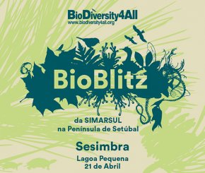 SIMARSUL | Grupo Águas de Portugal