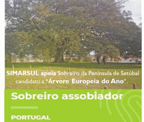 SIMARSUL | Grupo Águas de Portugal